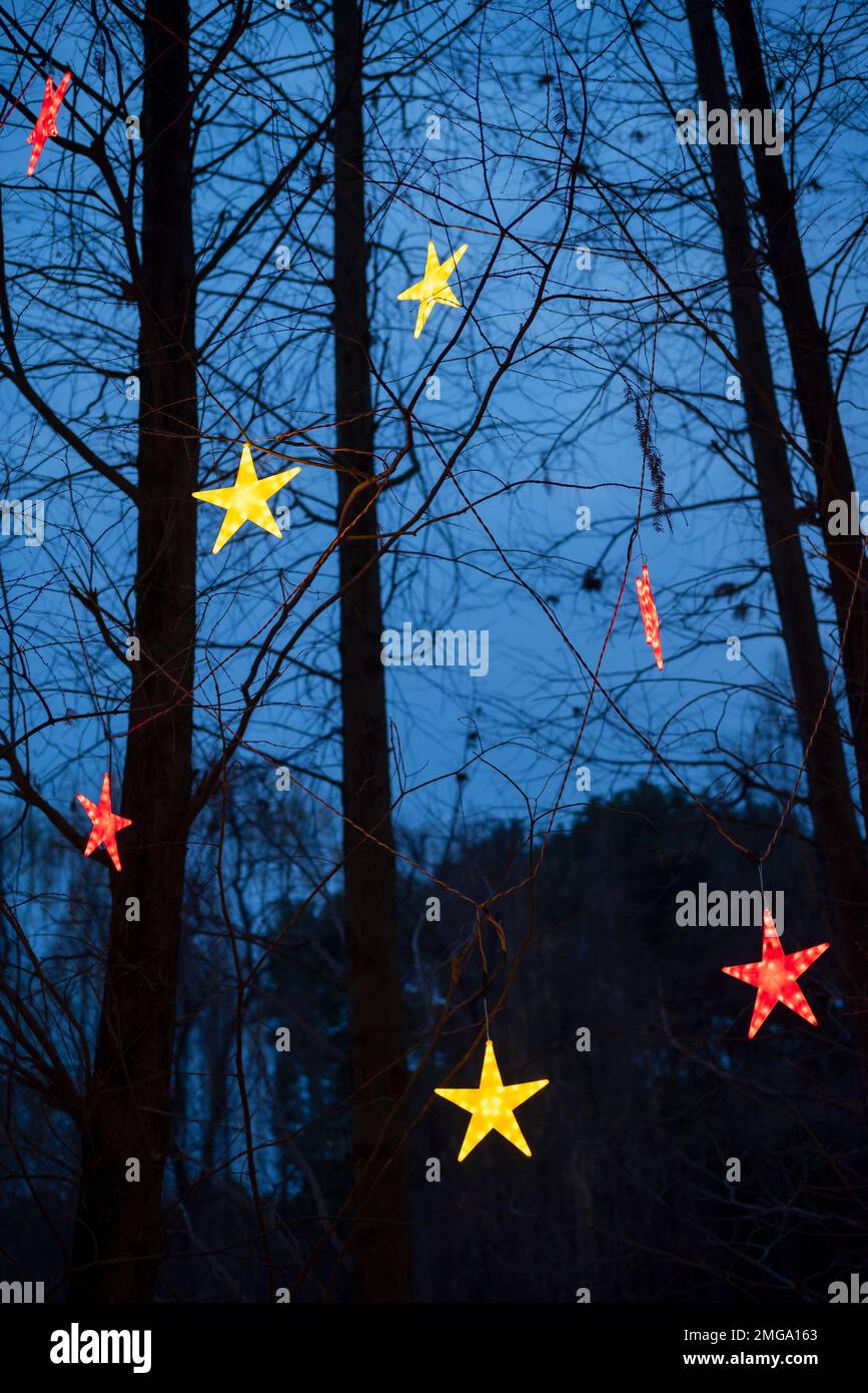 Chengdu natural history museum hi-res stock photography and images - Alamy