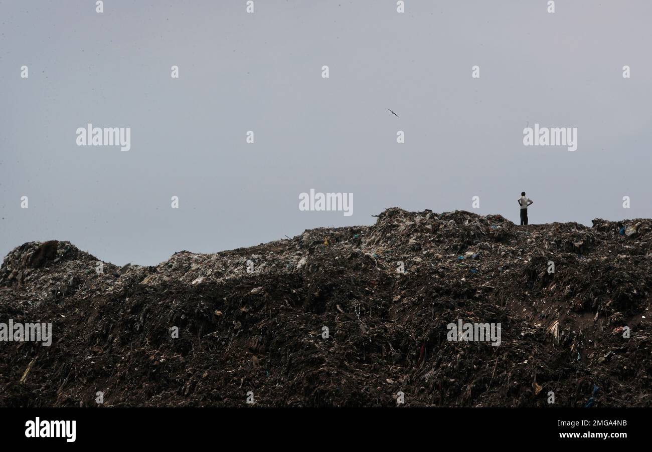 A man stands on a mound of garbage at Ghazipur, Delhi's biggest ...