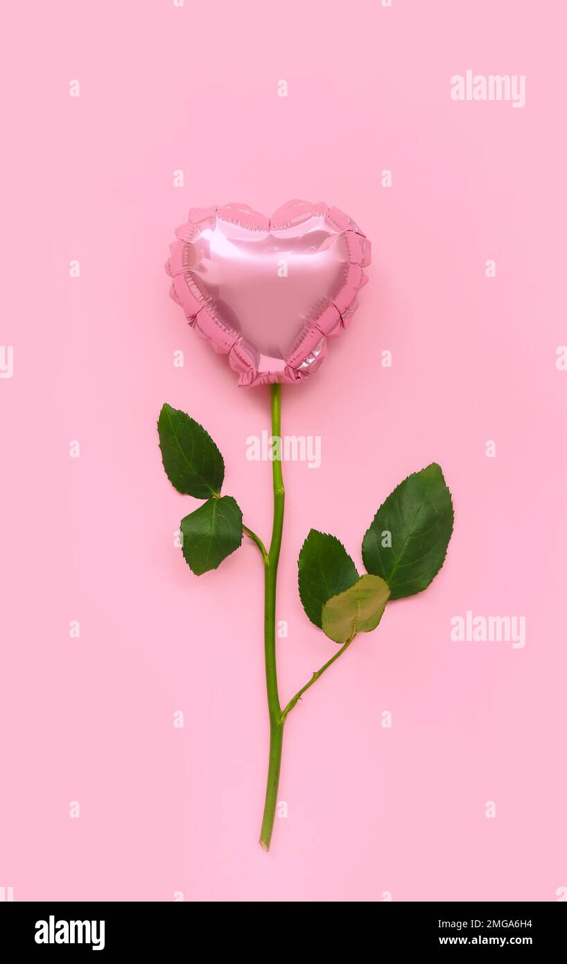 Flower made of rose stem and balloon on pink background. Valentine's ...