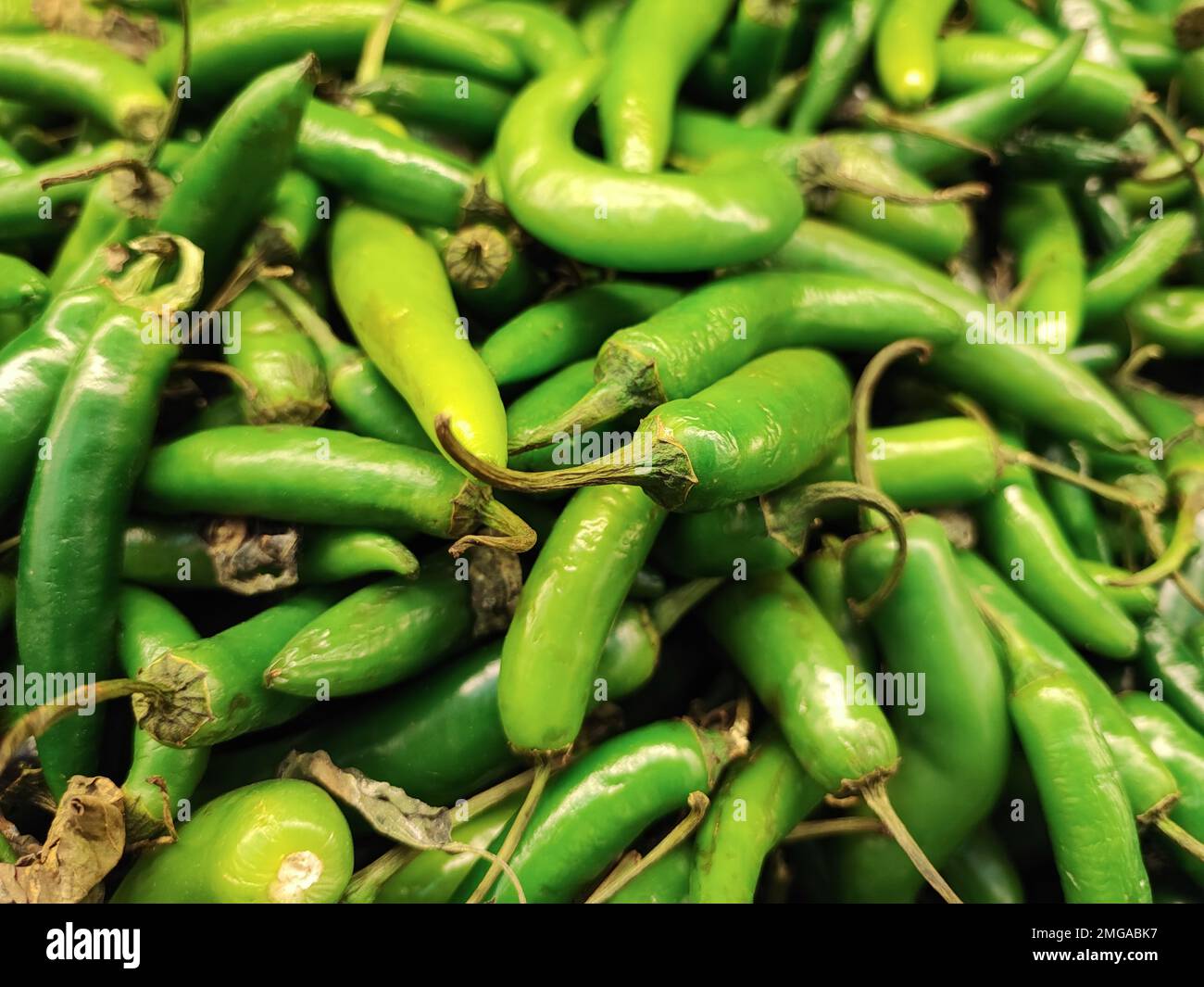 A group of serrano chili peppers Stock Photo - Alamy
