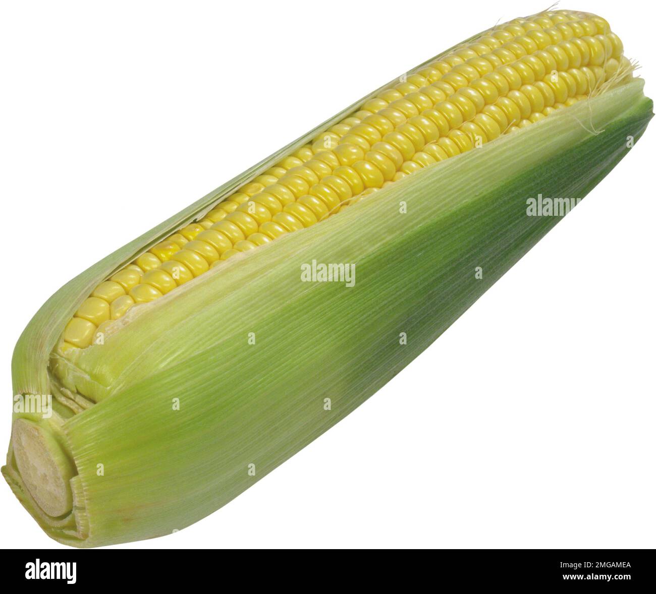 corn isolated on white background Stock Photo - Alamy