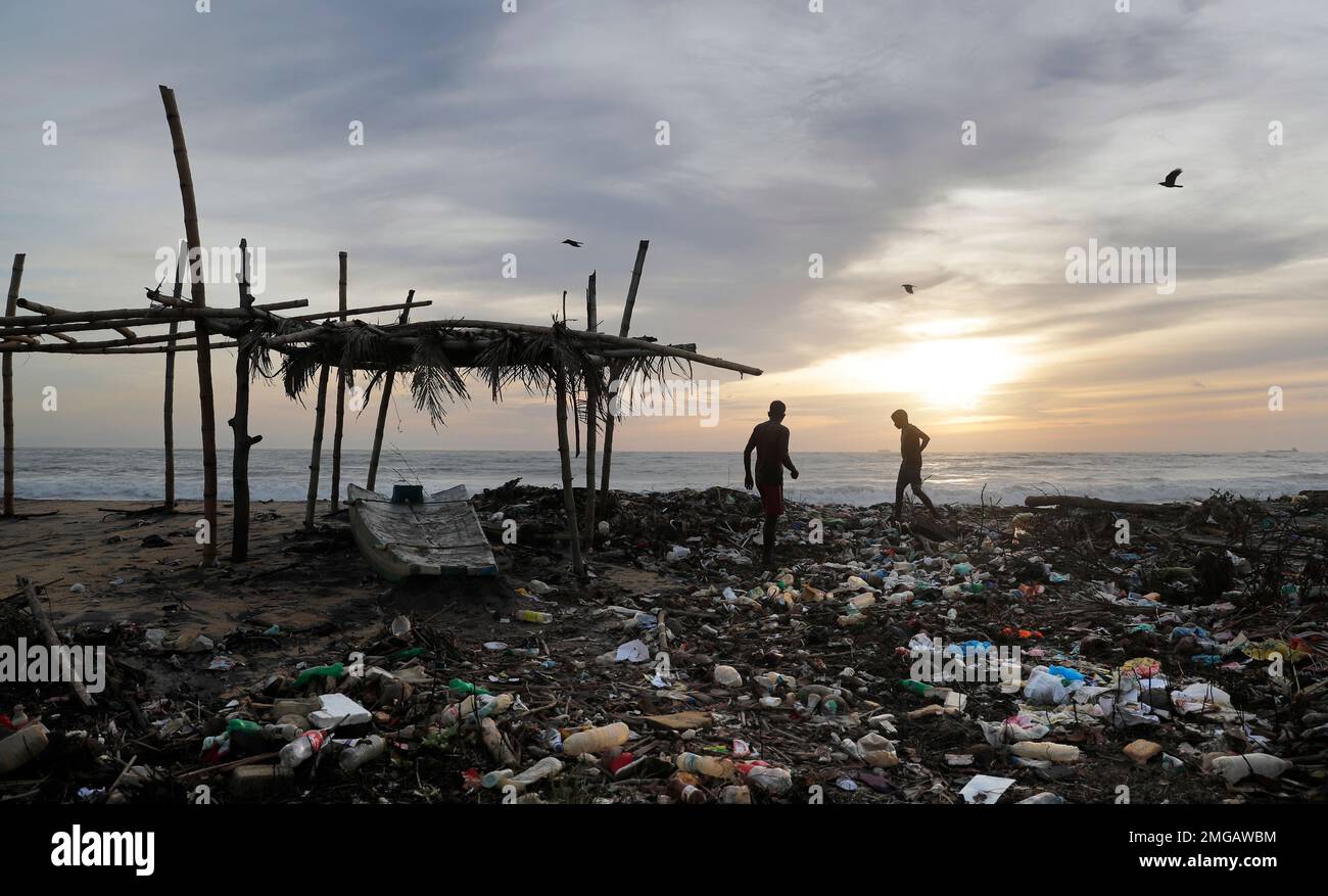 Sri Lankan youth search for salable items in a pile of garbage on the ...