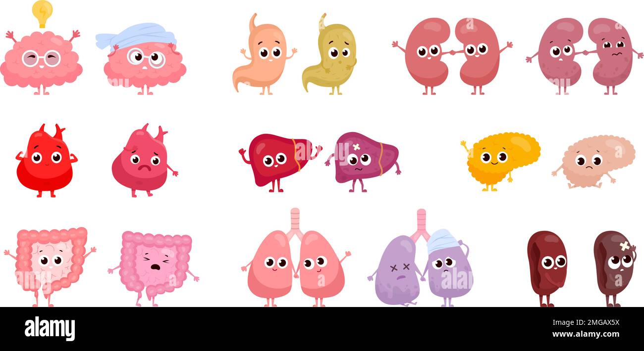 Healthy unhealthy organs. Whole and damaged human internal organ, sad or happy face characters ...