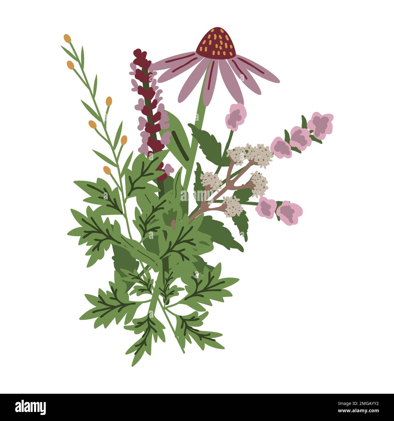 Medicinal plants bunch isolated illustration Stock Vector Image & Art ...