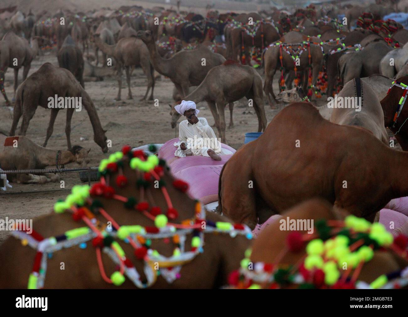 A vendor wait for customers at a camel market set up for the upcoming ...
