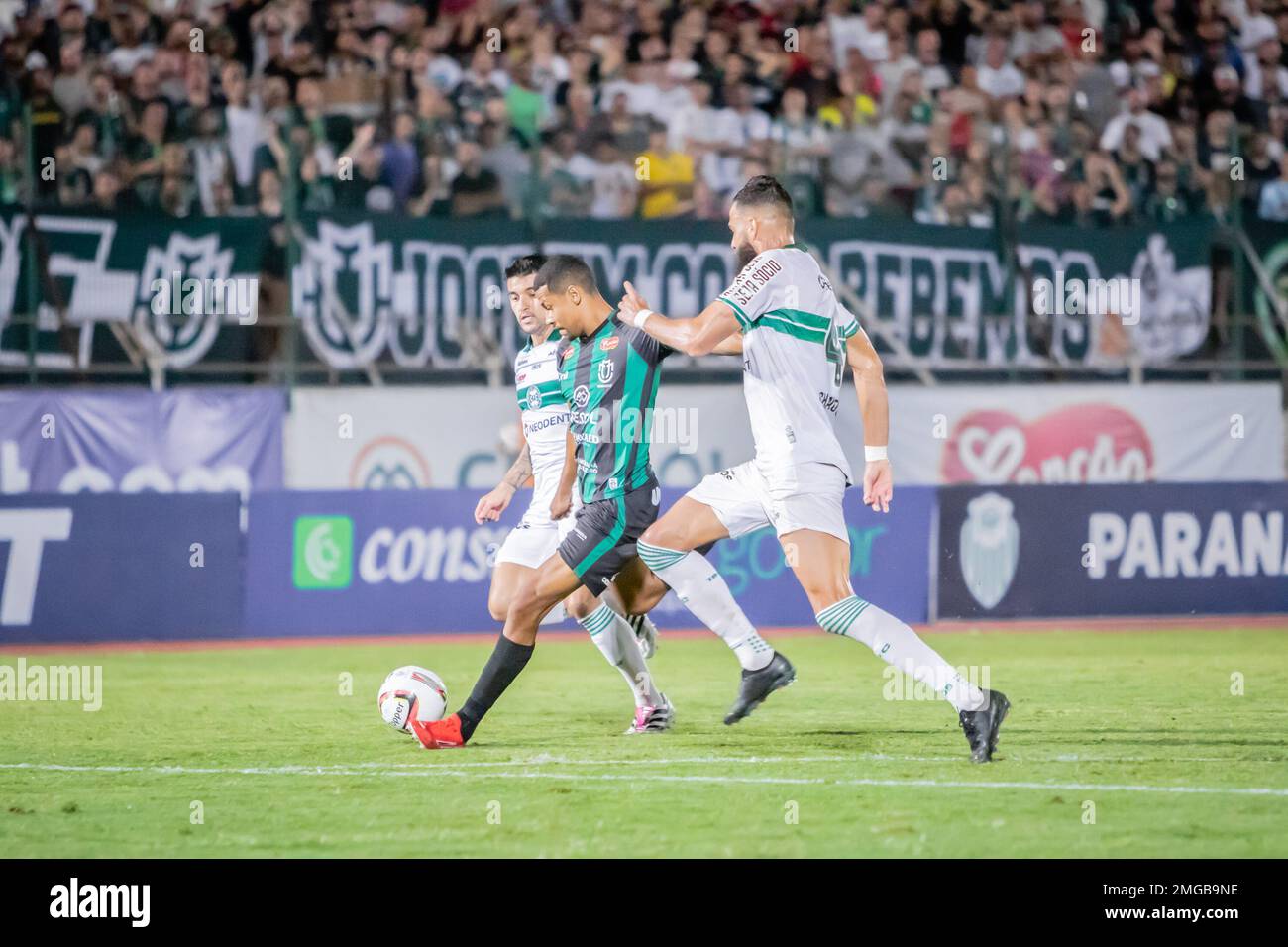 Maringa, Brazil. 26th Jan, 2023. PR - Maringa - 01/25/2023 - PARANAENSE ...