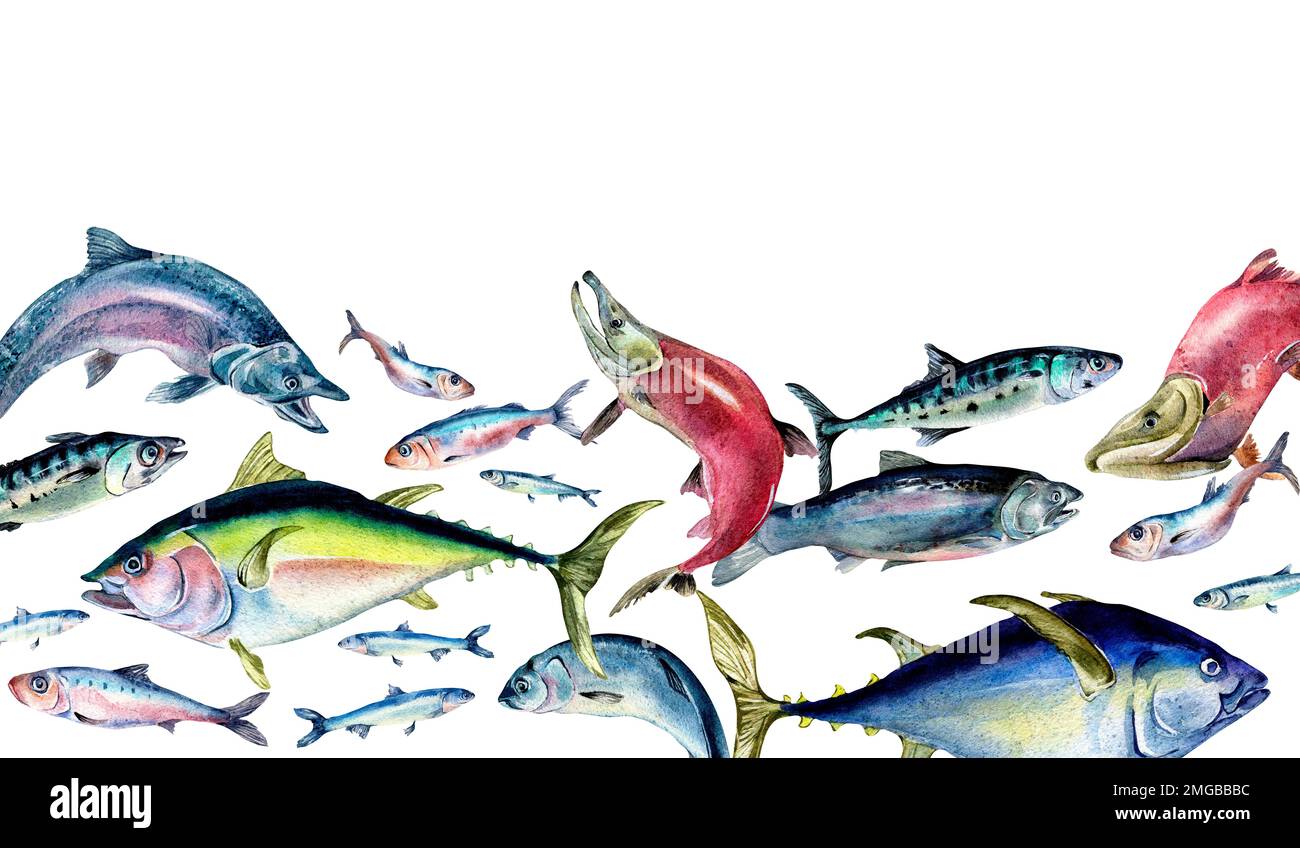 Banner of various sea fish swimming watercolor illustration isolated on ...