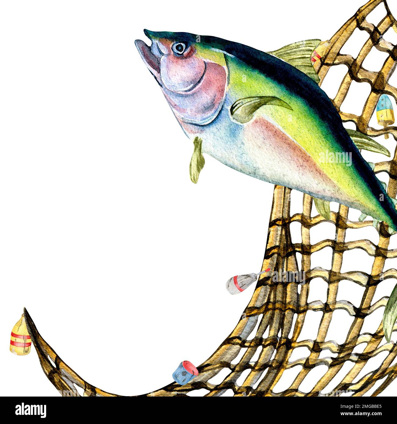 Composition of tuna and fishnet watercolor illustration isolated on ...