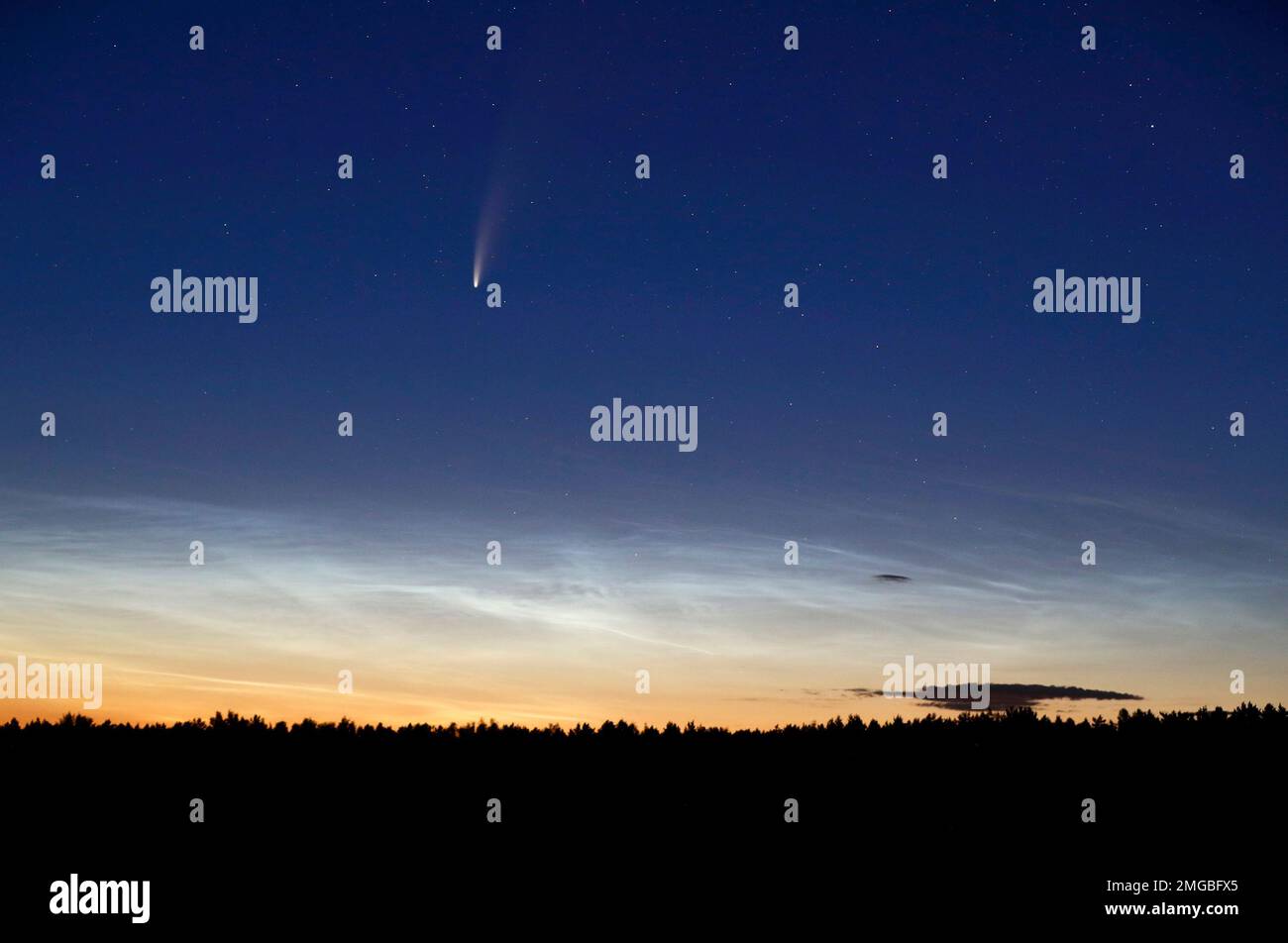 The comet Neowise or C/2020 F3 is seen near village of Turets, Belarus ...