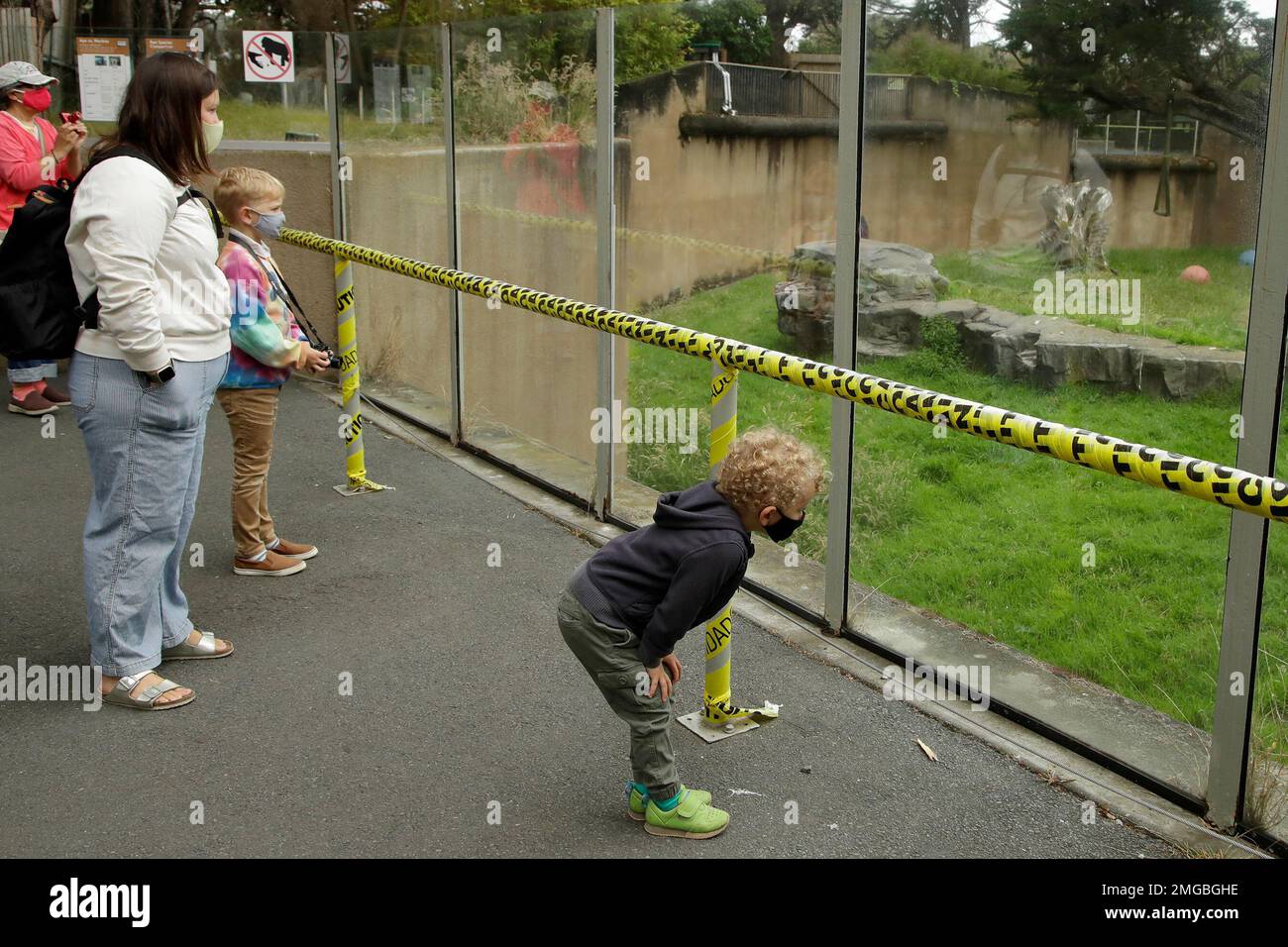 People wear masks while viewing the gorilla habitat at the San ...