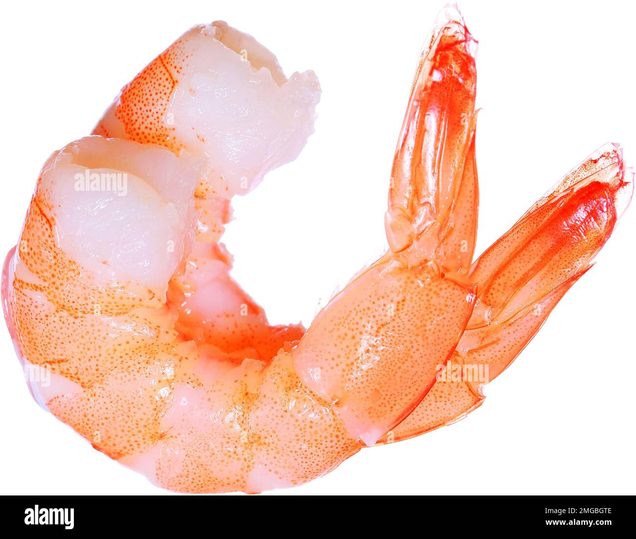 Meal tiger Cut Out Stock Images & Pictures - Alamy