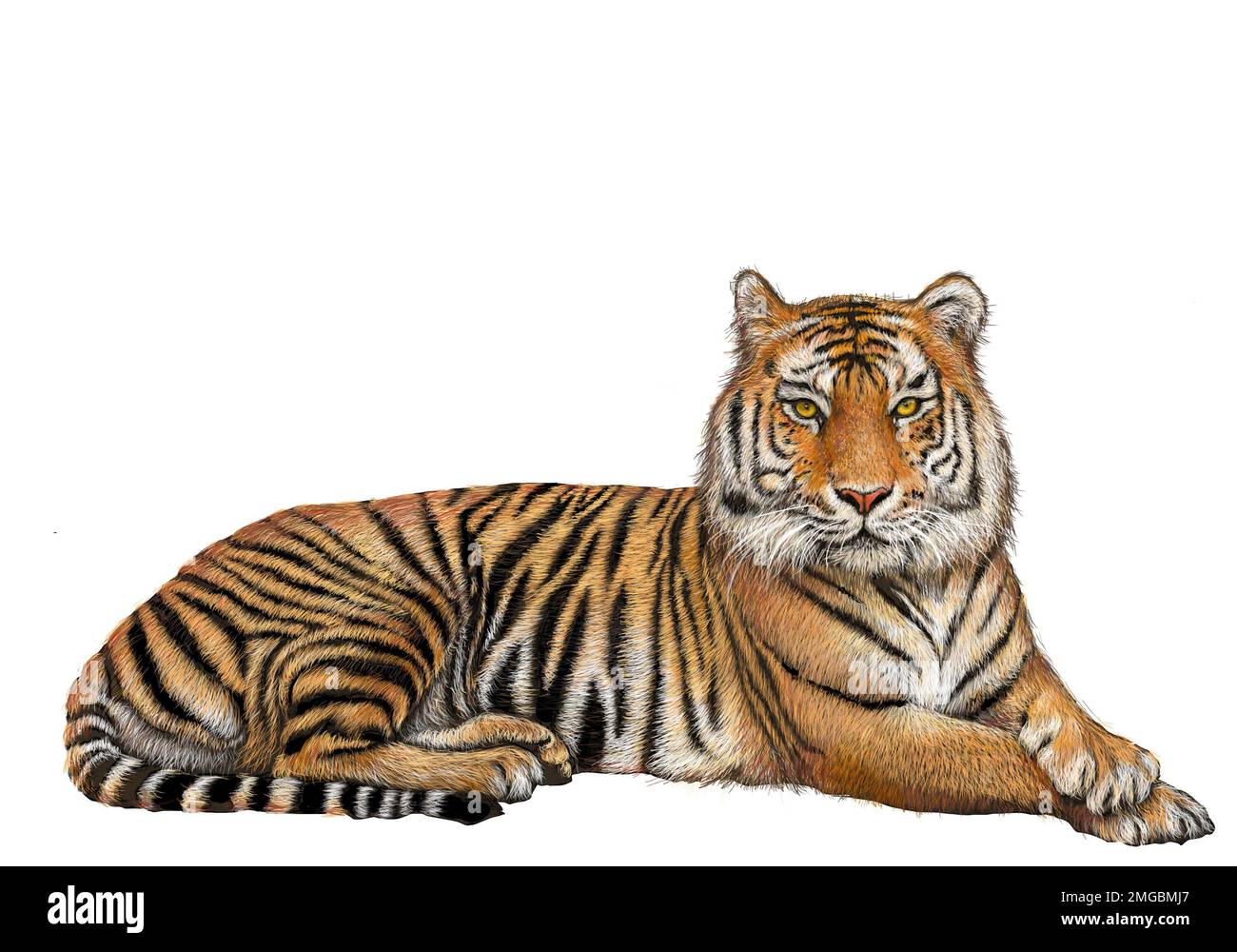 Asian vector hi-res stock photography and images - Alamy