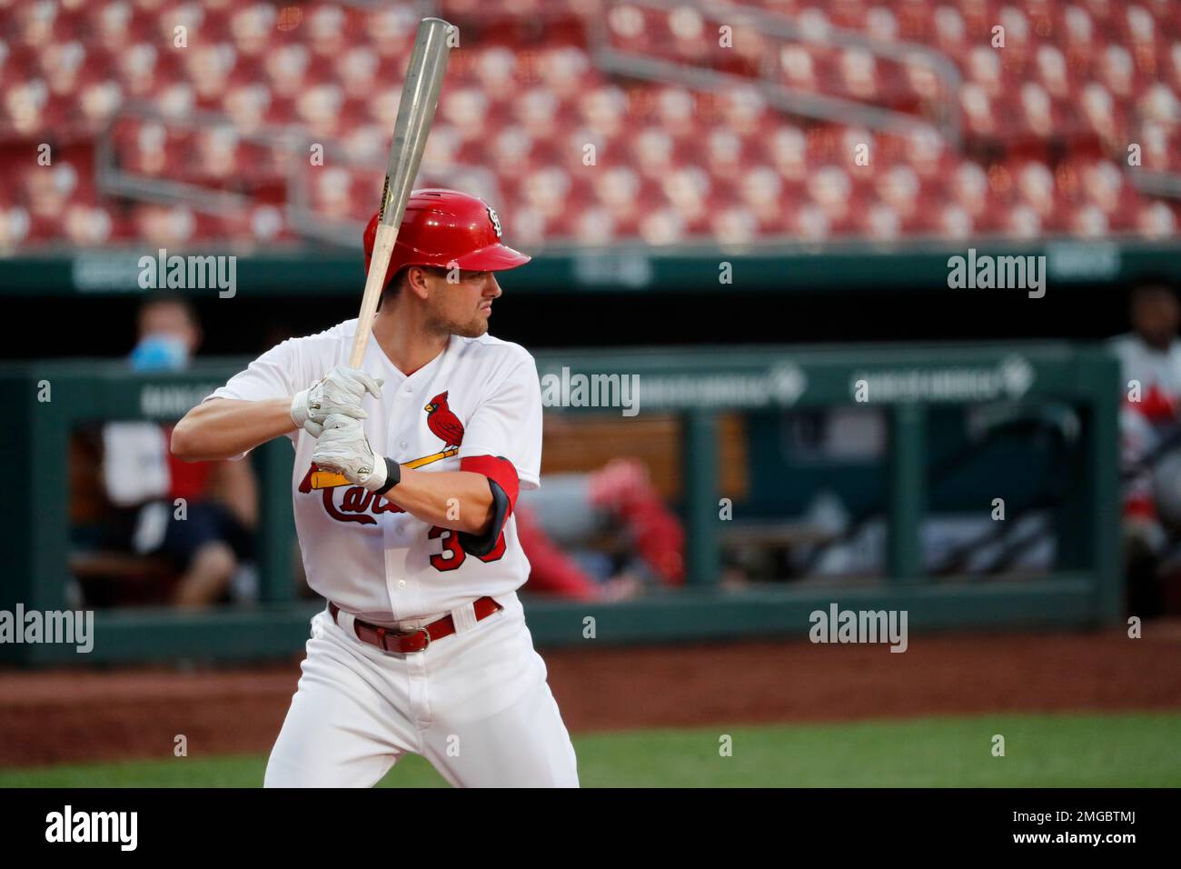 St. Louis Cardinals' Lane Thomas bats during an intrasquad practice ...