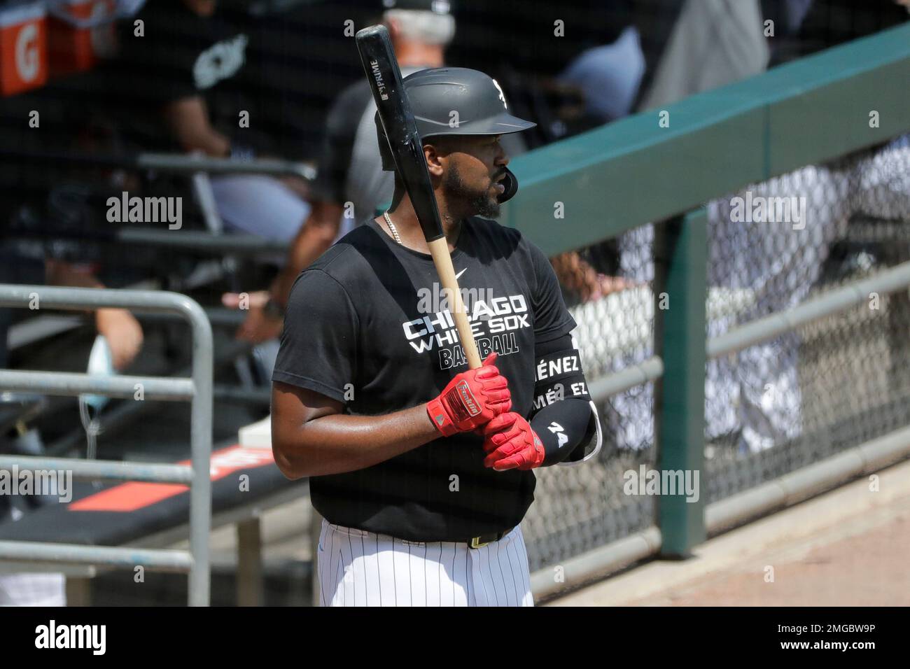 Chicago White Sox's Eloy Jimenez looks towards the field during ...