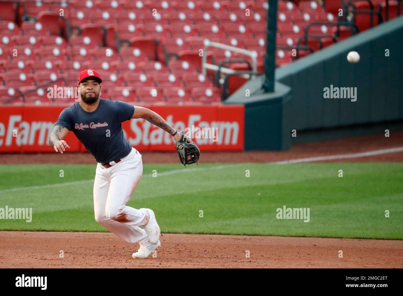 St. Louis Cardinals infielder Edmundo Sosa chases down a ball during ...