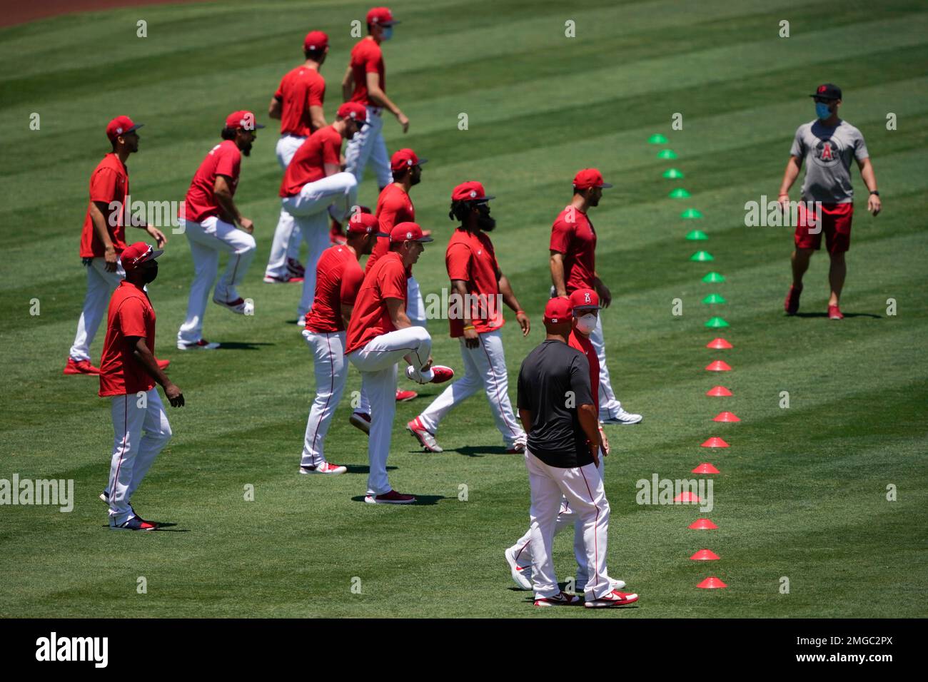Los Angeles Angels warm up at baseball practice at Angel Stadium on ...