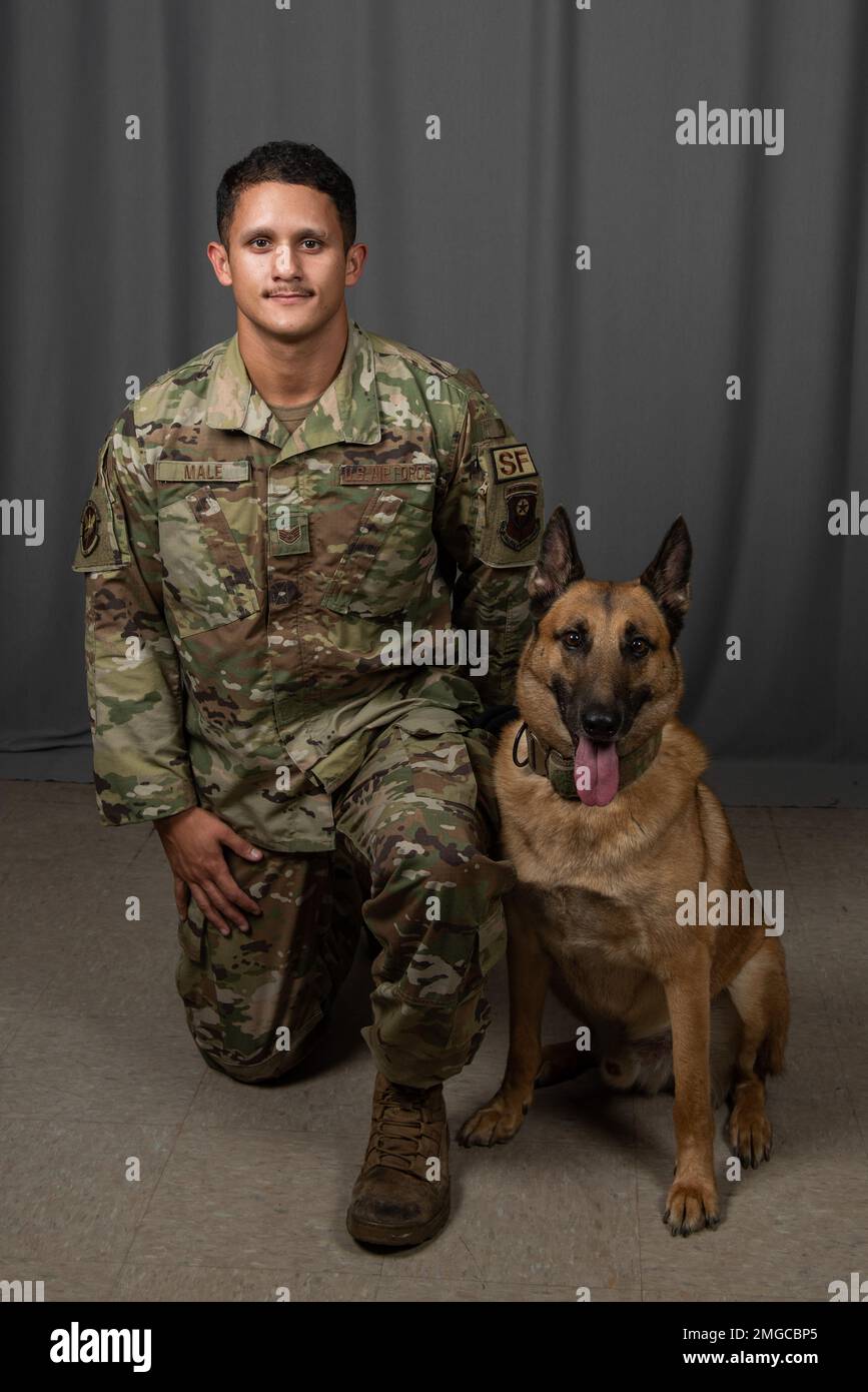 1st sosfs hi-res stock photography and images - Alamy