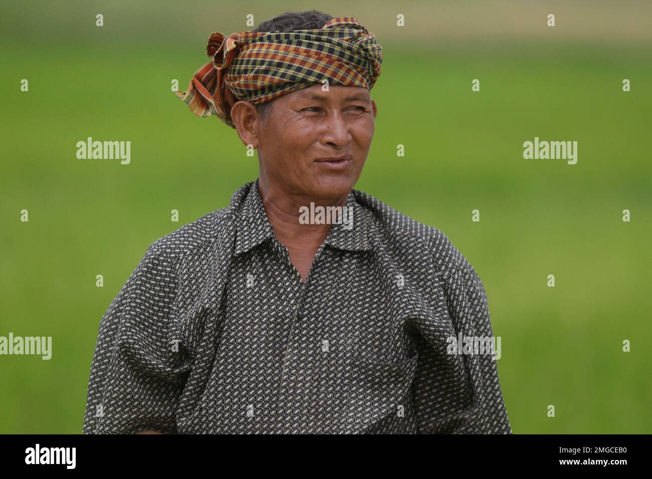 A farmer plants rice in Are Cheah village on the outskirts of Phnom ...