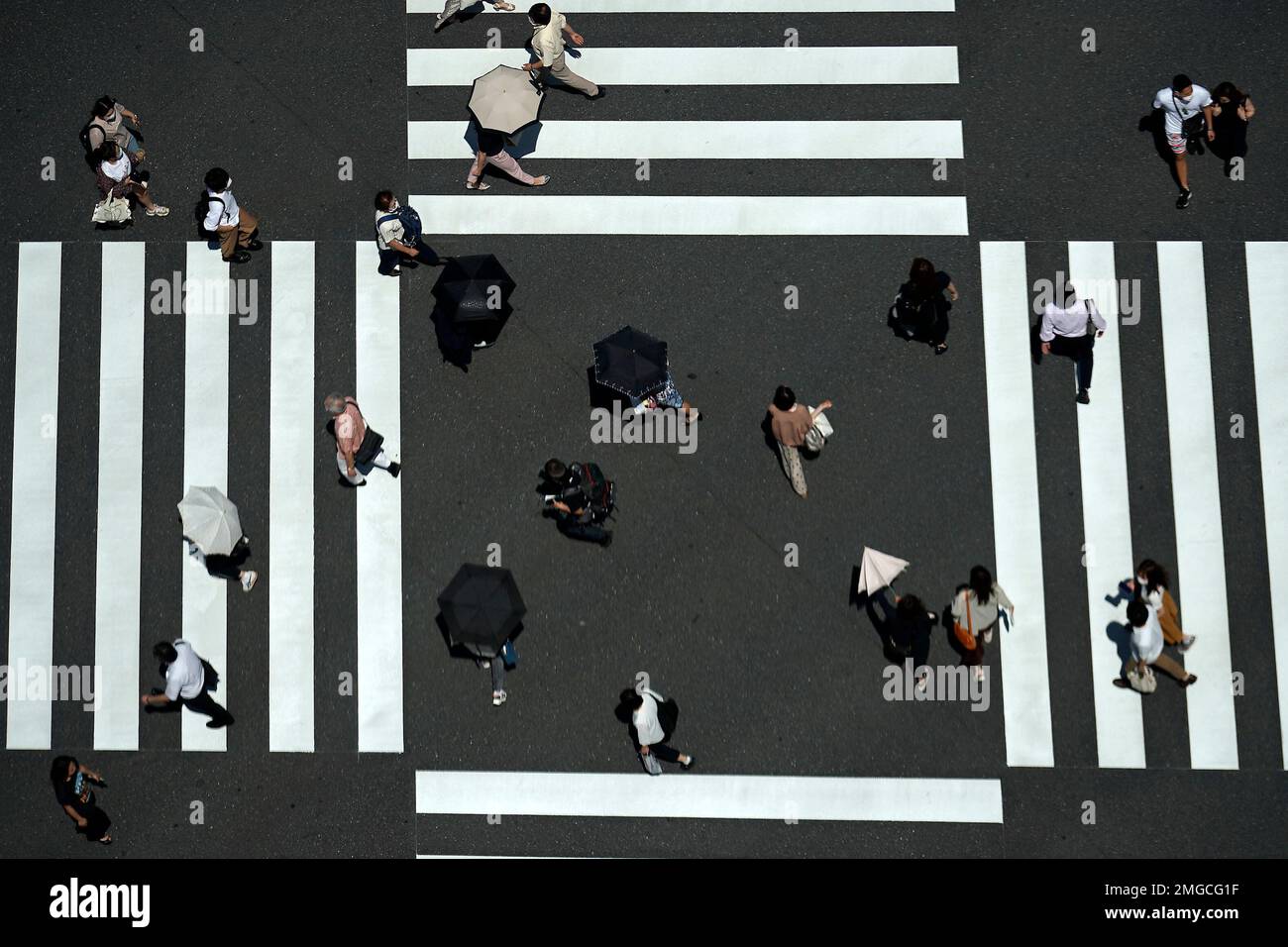 Crossing The Street Activity