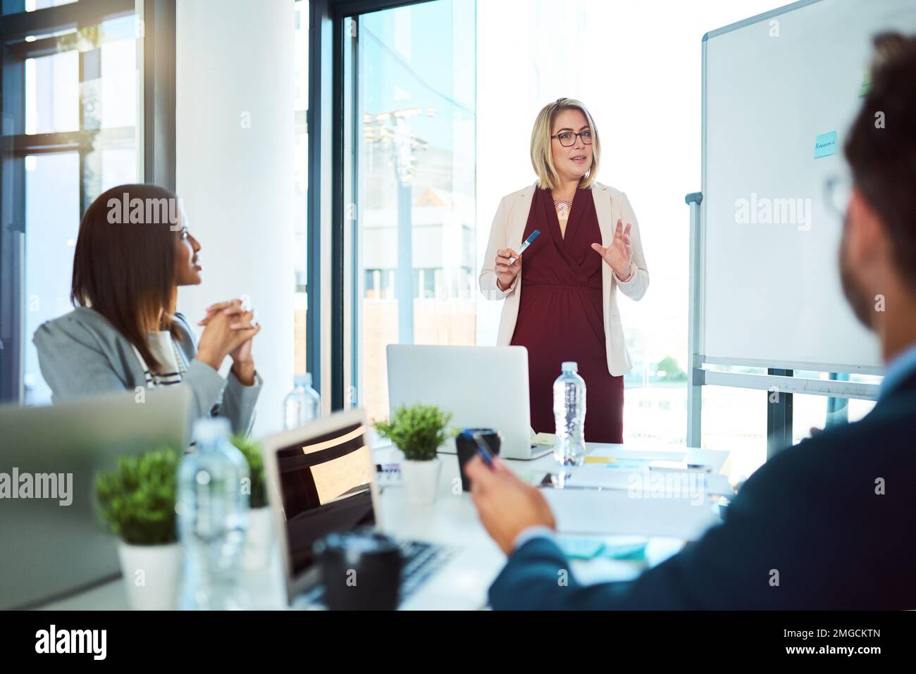 Going over their business plan. corporate businesspeople having a ...