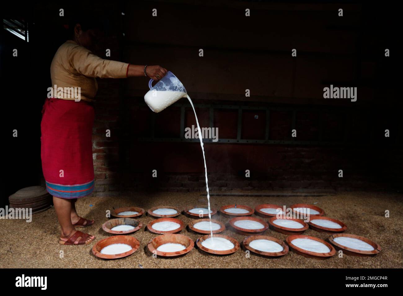 A traditional Nepalese yogurt maker pours milk into earthen containers ...