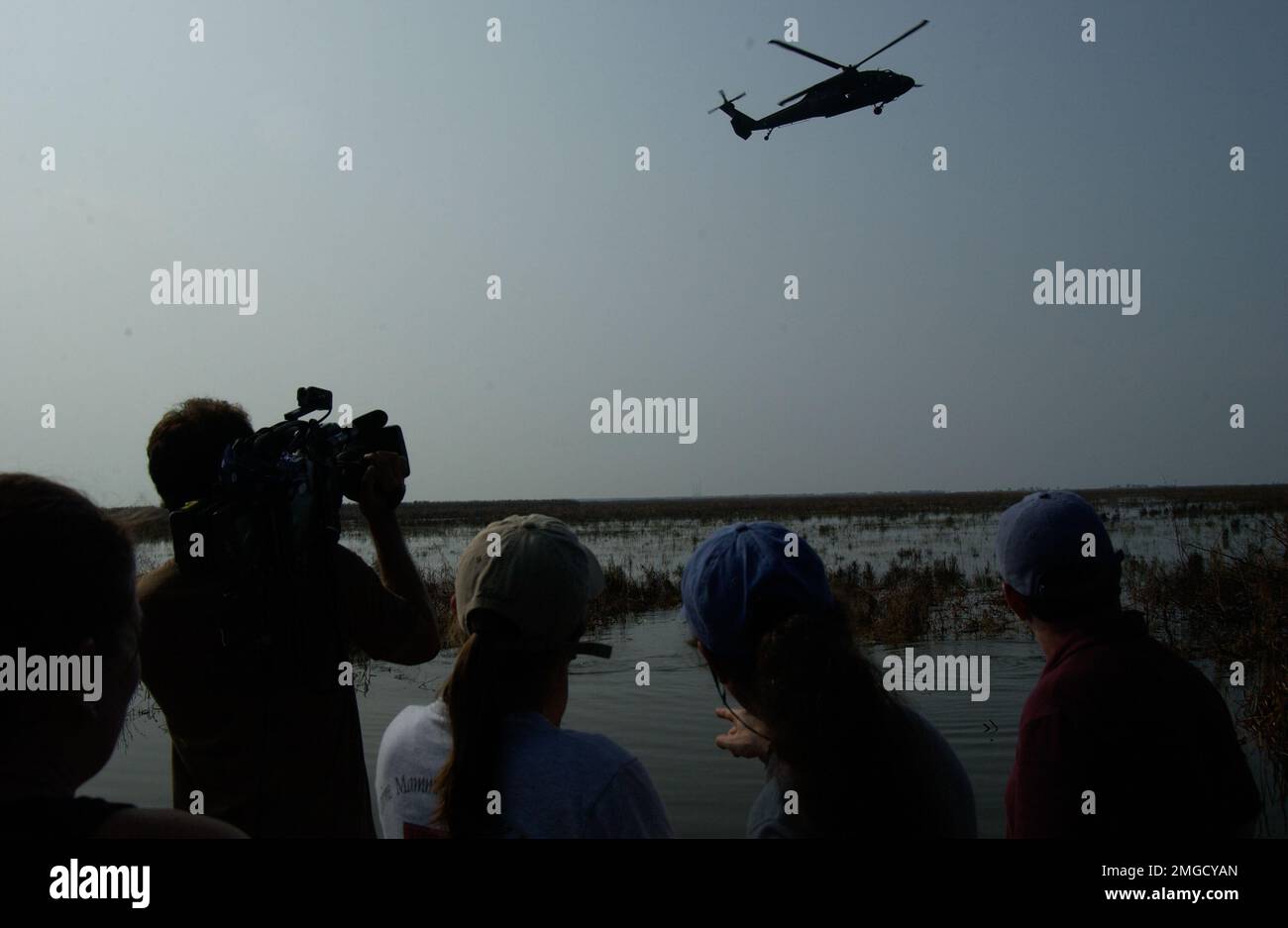 Dolphin Rescue - 26-HK-130-128. Hurricane Katrina Stock Photo - Alamy
