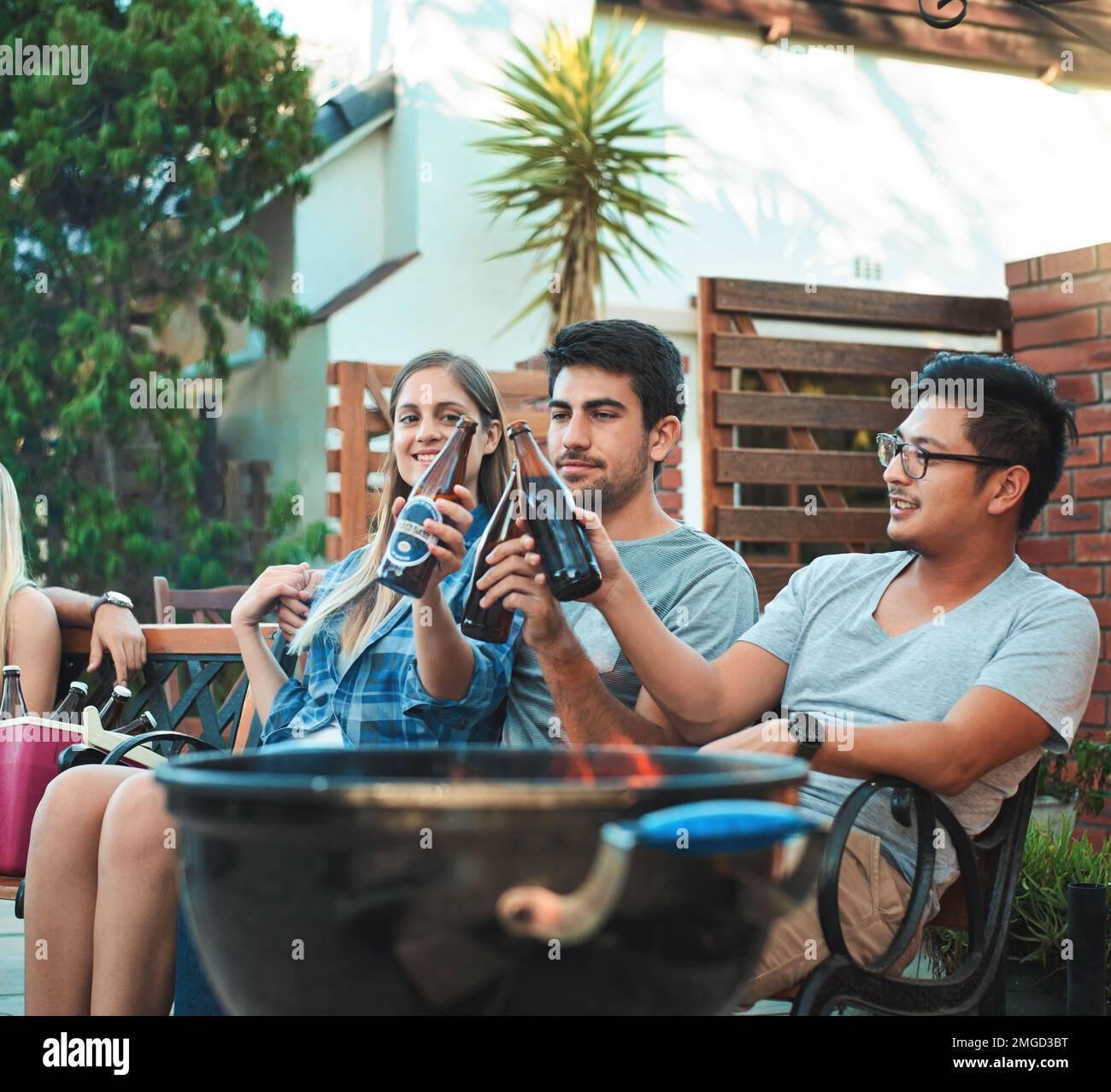 The barbecue crew. a group of friends toasting with beer at a barbecue ...