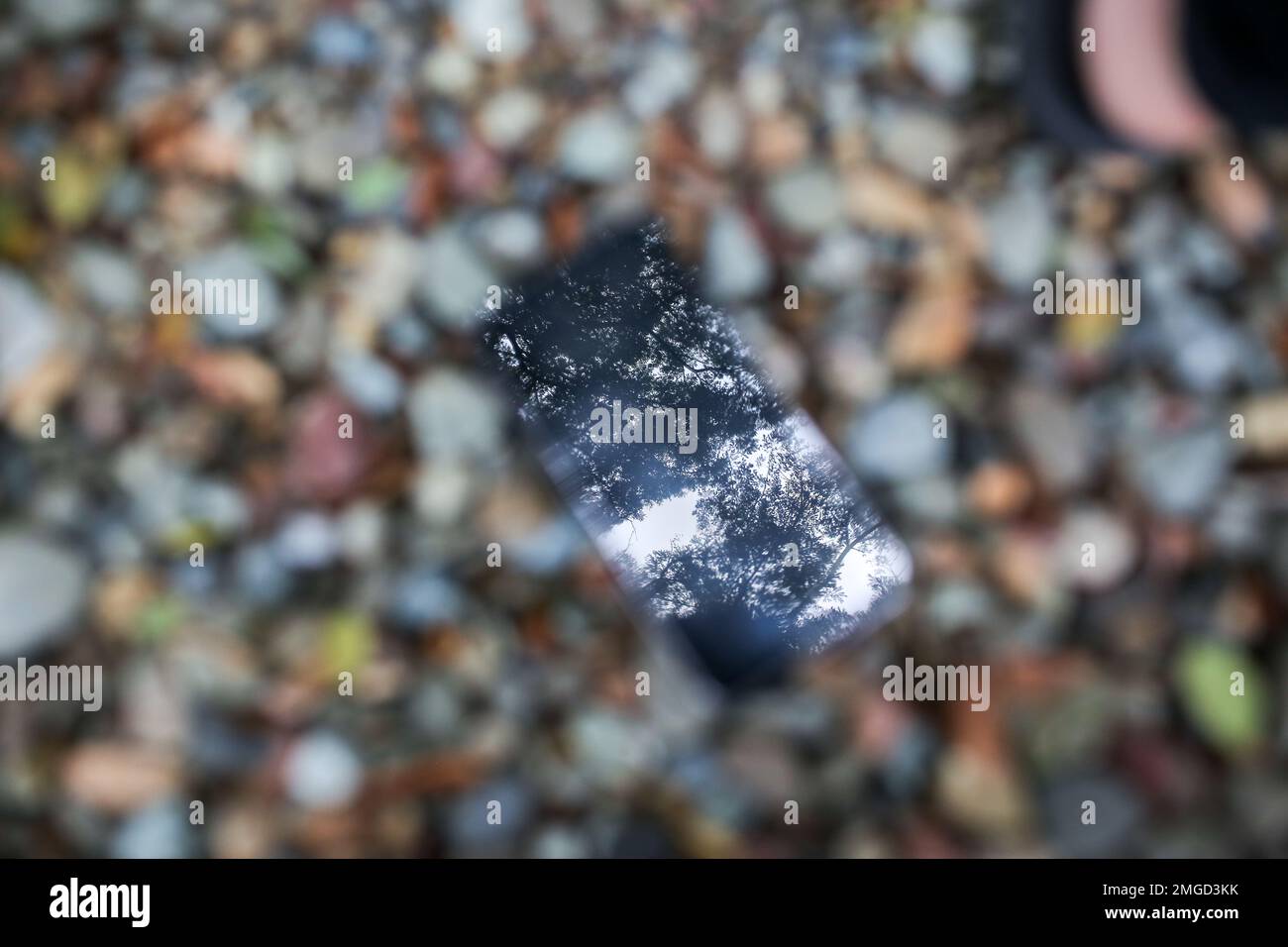 Out of focus and slightly blurry photos Stock Photo - Alamy