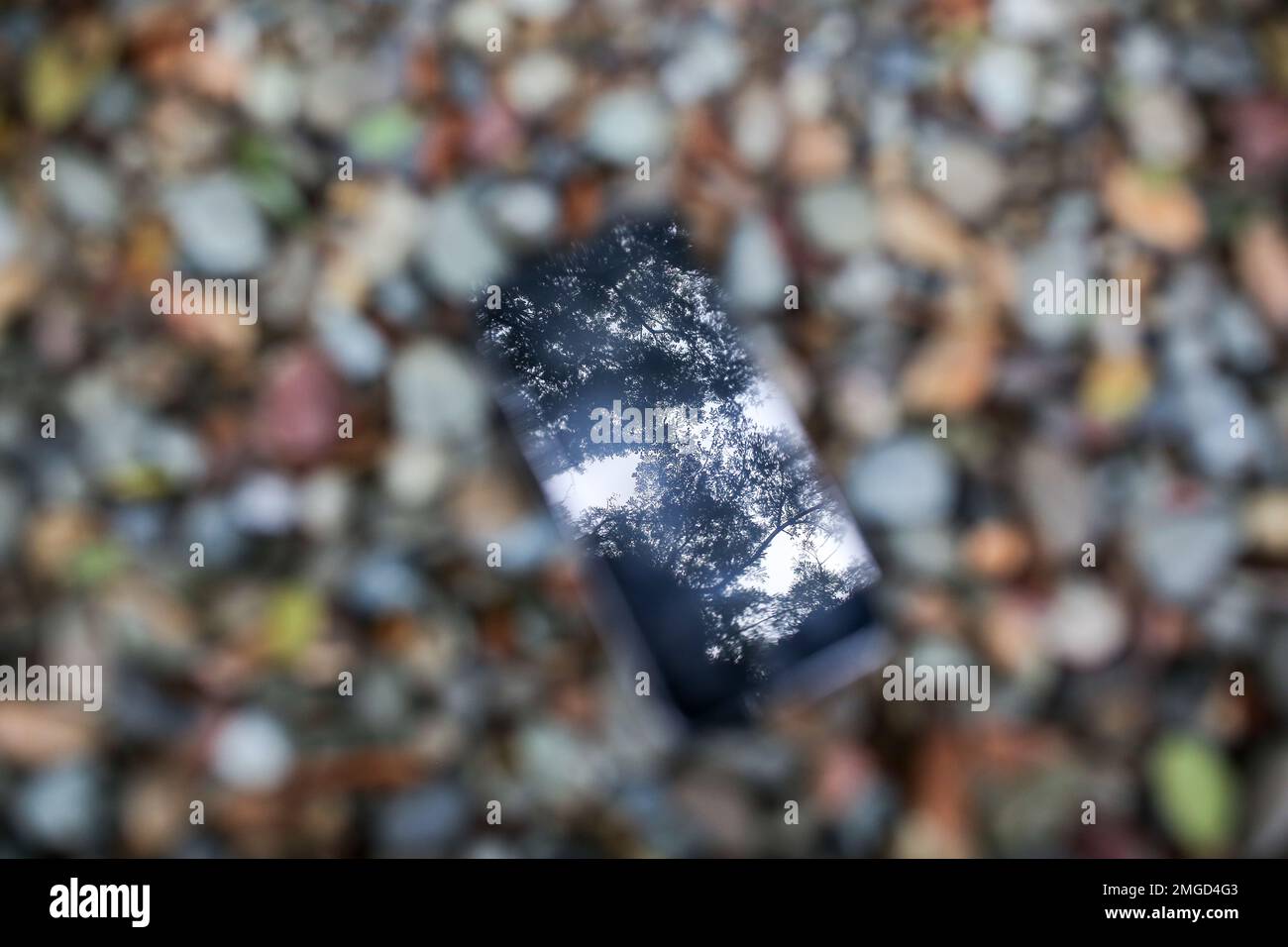 Beautiful blurry out focus spring hi-res stock photography and images - Alamy