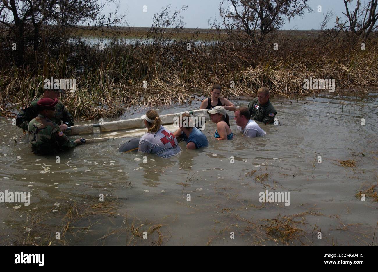 Dolphin Rescue - 26-HK-130-254. Hurricane Katrina Stock Photo - Alamy