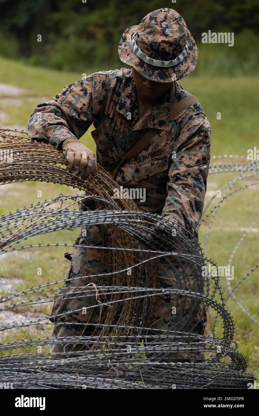 U.S. Marine Corps Sgt. Helwin Acabal, combat engineer, Marine Wing ...