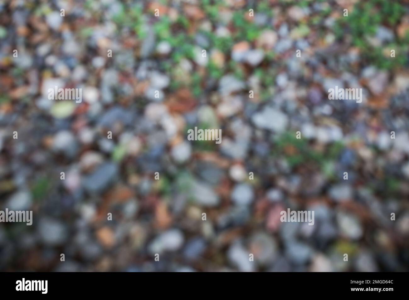 Out of focus and slightly blurry photos Stock Photo - Alamy