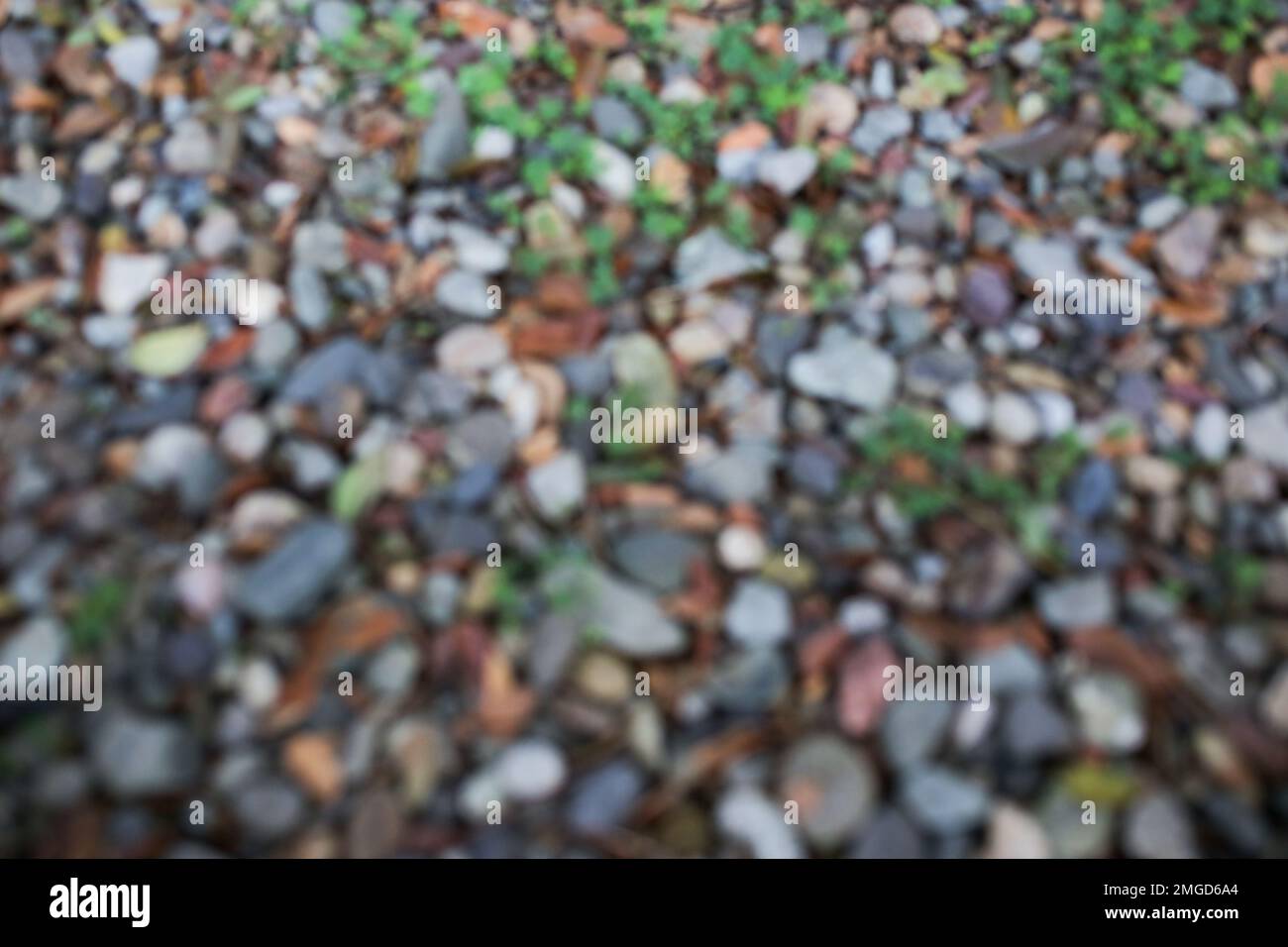 Beautiful blurry out focus spring hi-res stock photography and images - Alamy