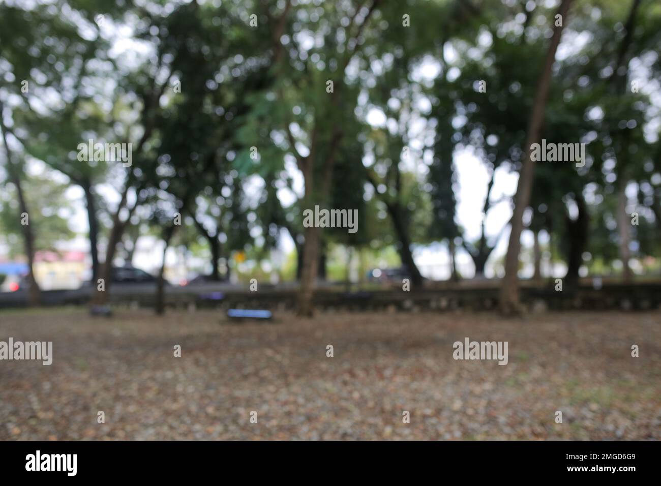 Slightly Blurry Image