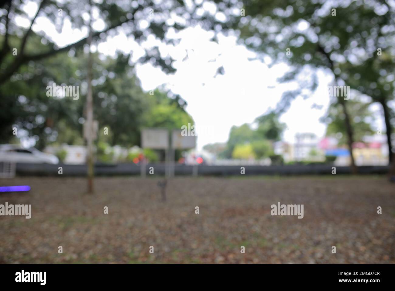 Out of focus and slightly blurry photos Stock Photo - Alamy