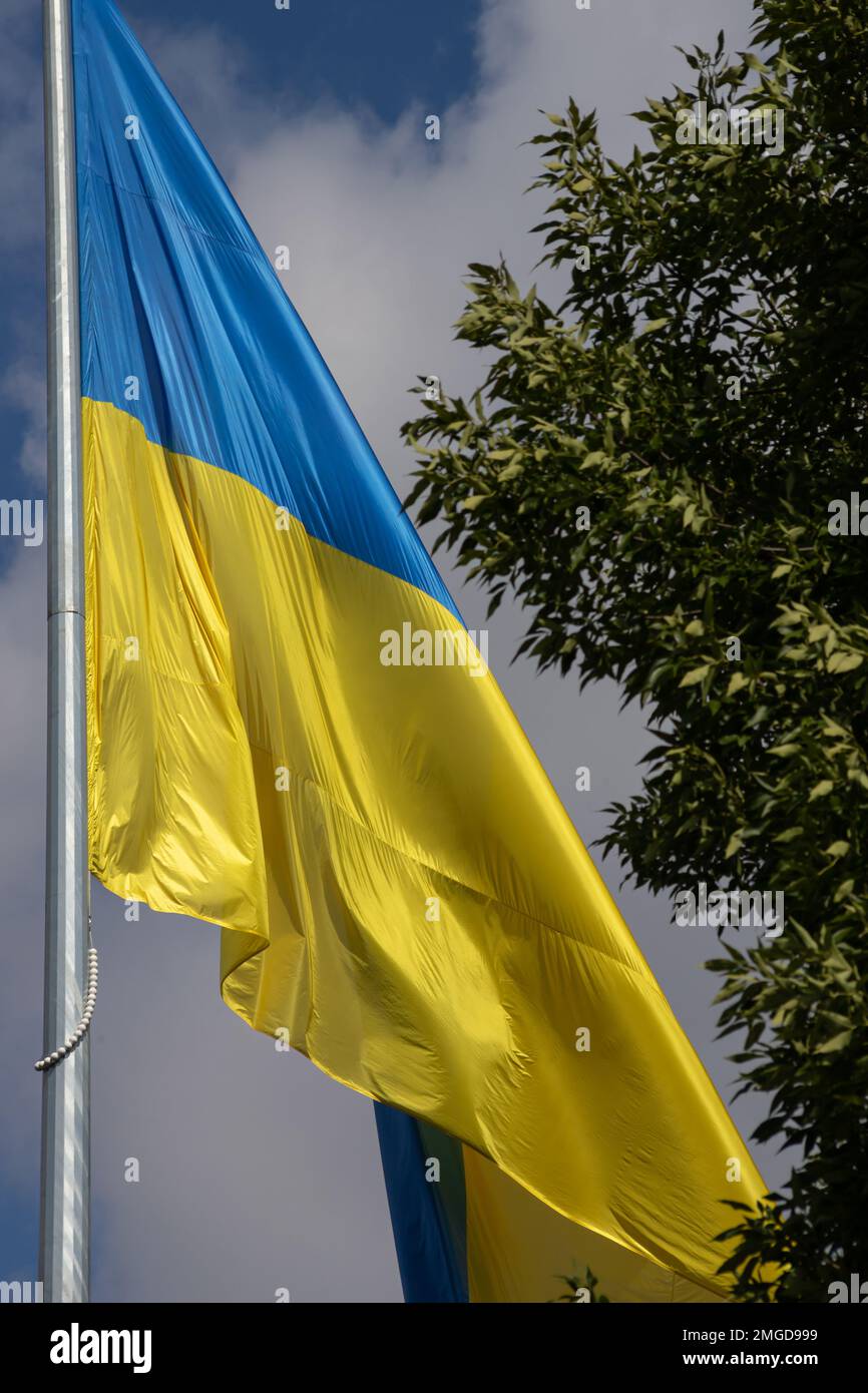 Ukraine flag waving on the wind against the blue sky Stock Photo - Alamy