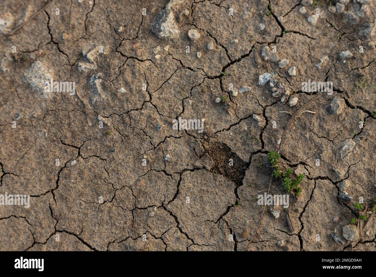 Dry, cracked dirt texture for creative background Stock Photo - Alamy