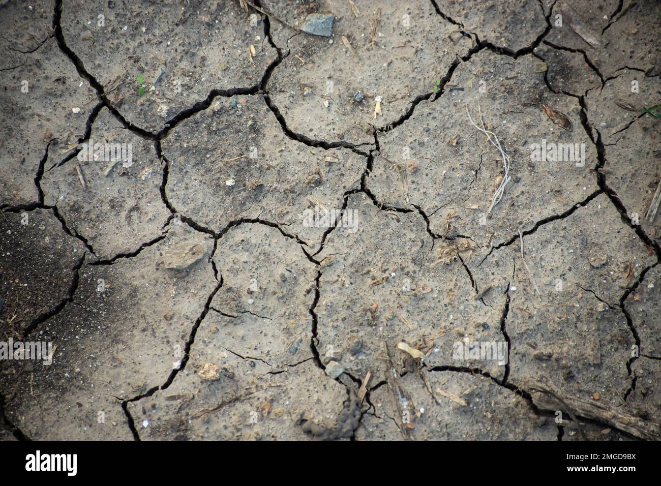 Dry, cracked dirt texture for creative background Stock Photo - Alamy