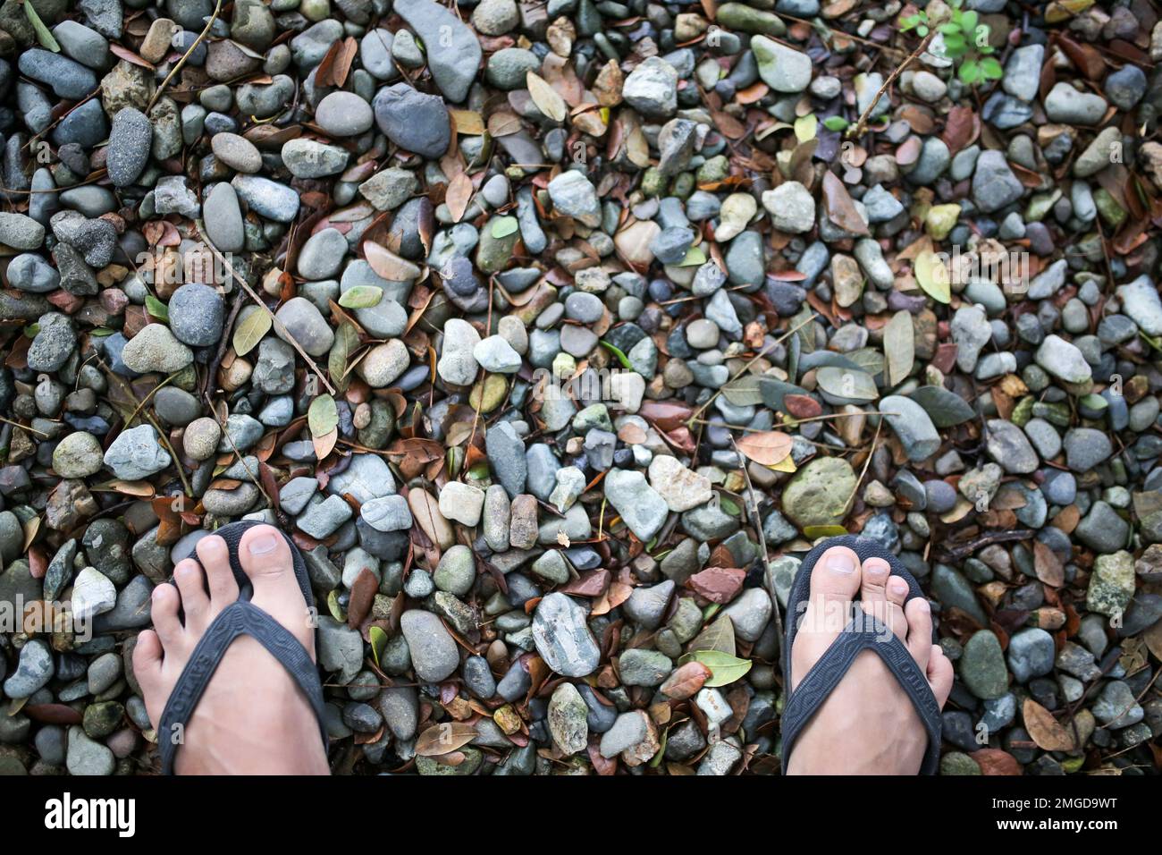 Out of focus and slightly blurry photos Stock Photo - Alamy