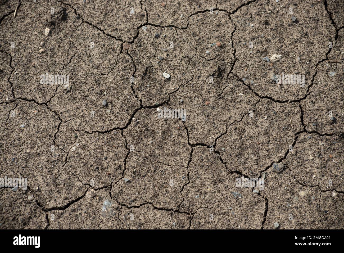 Dry, cracked dirt texture for creative background Stock Photo - Alamy