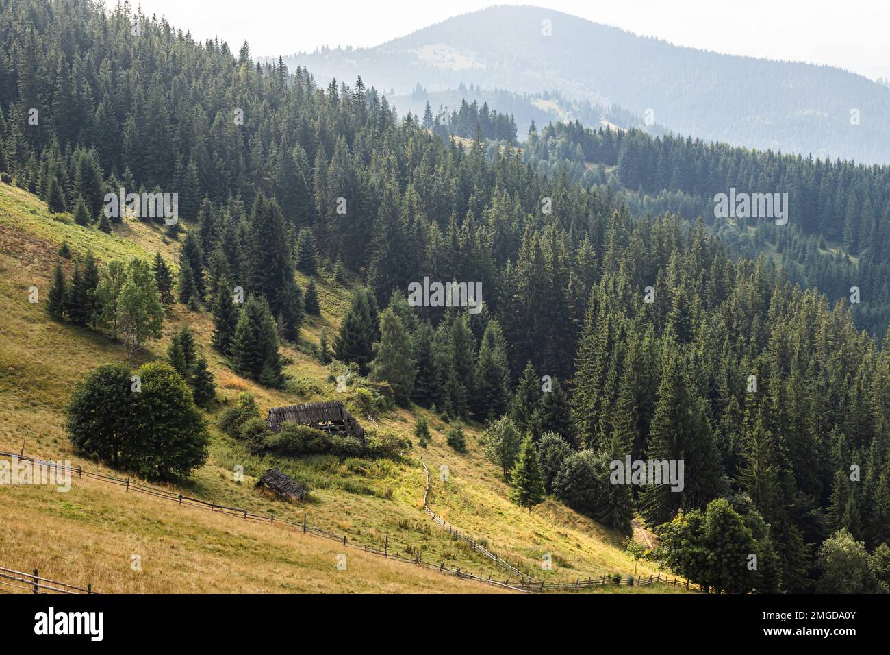 mountain slopes in the Ukrainian Carpathians. mountain tops and forests ...