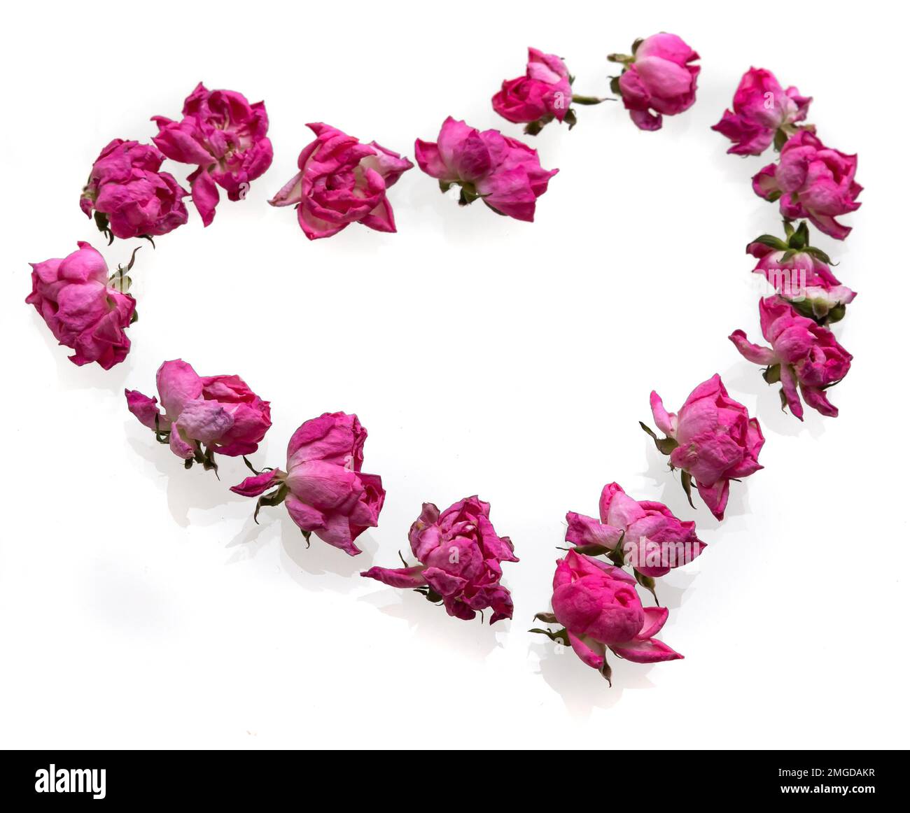 Wilted rose petals shaped into heart on white Stock Photo - Alamy
