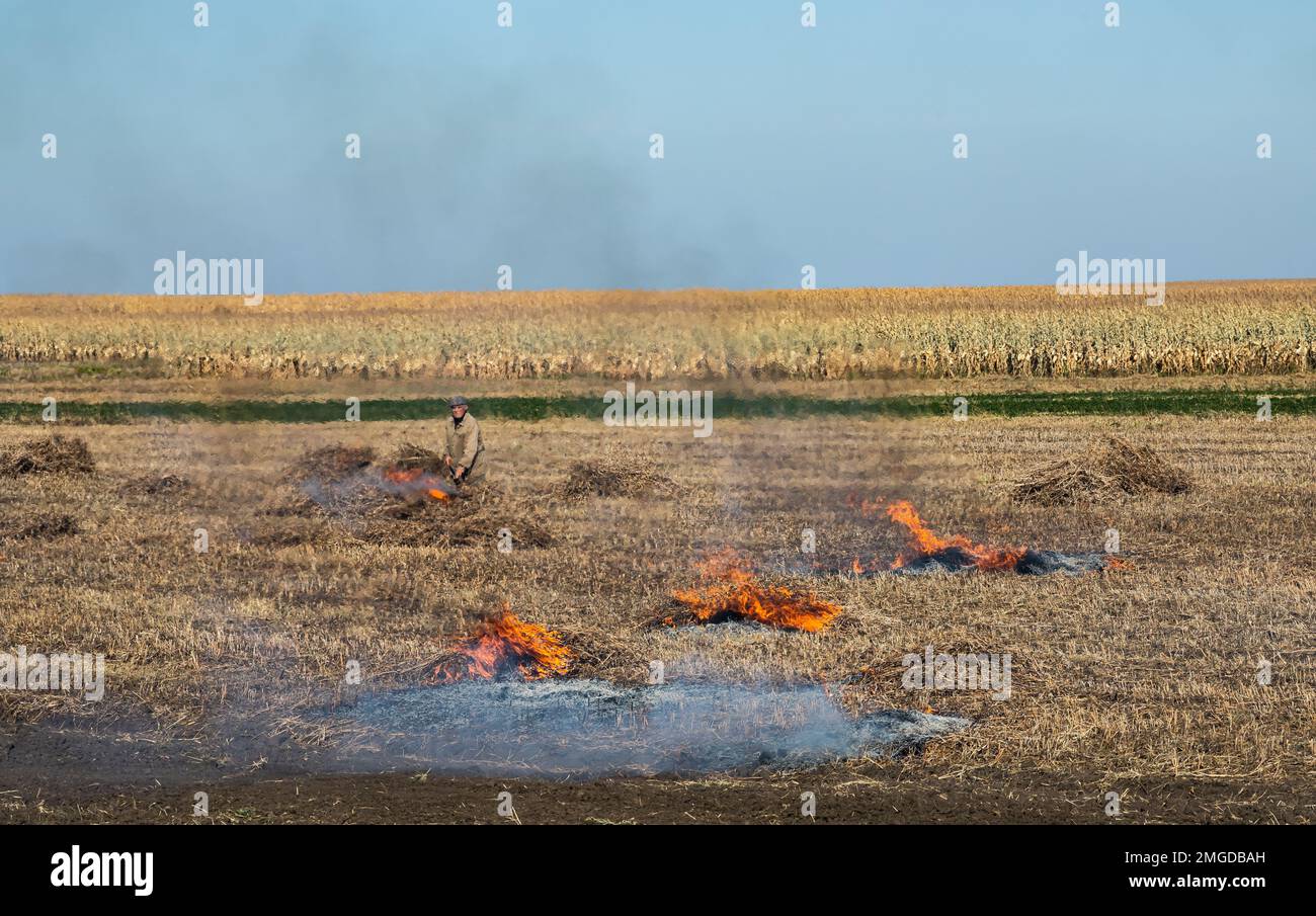incineration of agricultural waste - smog and pollution. Harmful ...