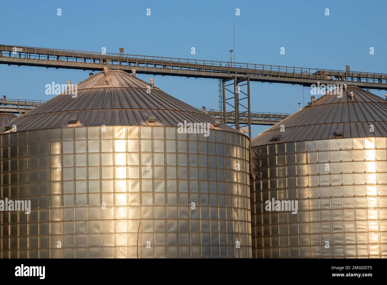 A large modern plant for the storage and processing of grain crops ...