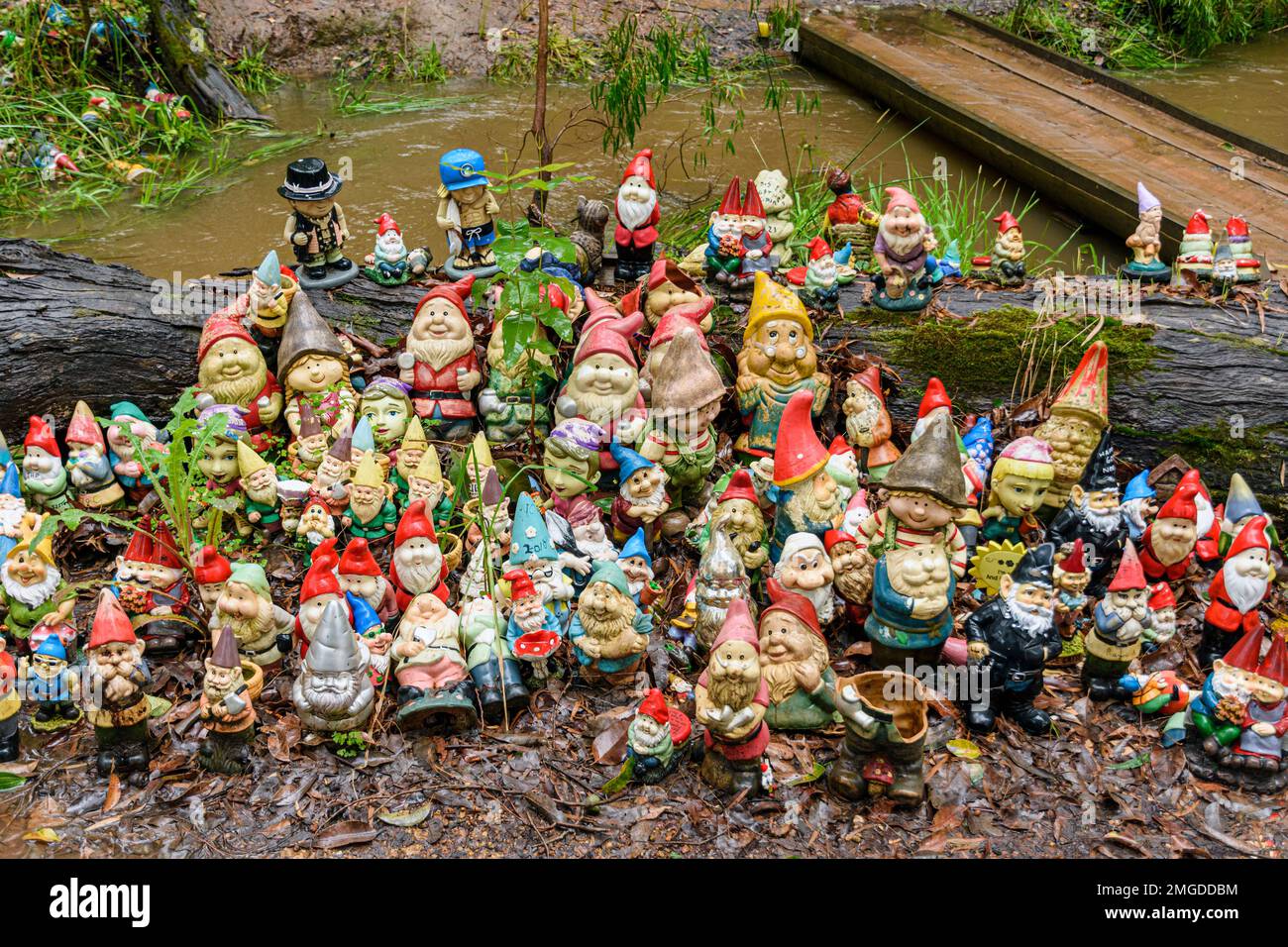 A selection of gnomes at Gnomesville in the Ferguson Valley in the ...