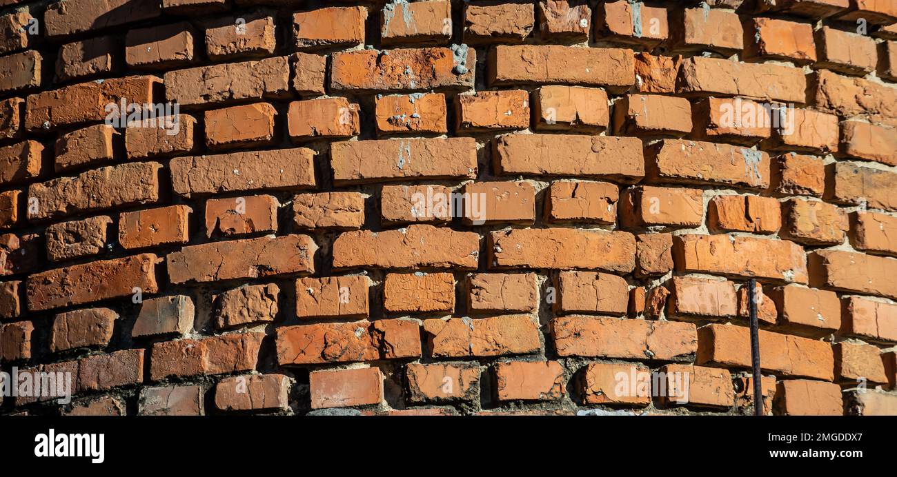 The background is an old brick wall. The wall is made of red ceramic ...
