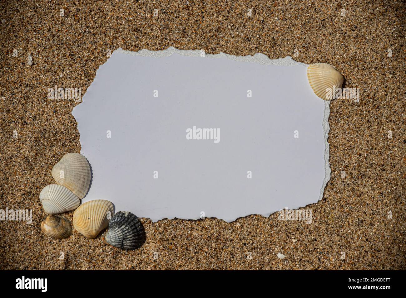 Summer style with empty blank paper card on a sea sand. summer card ...