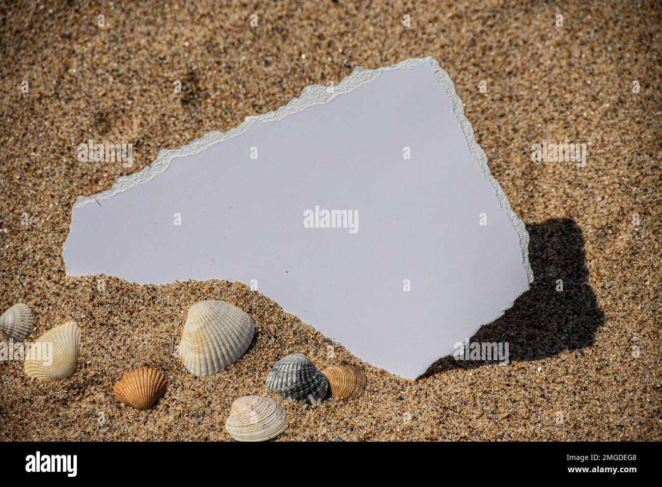 Summer style with empty blank paper card on a sea sand. summer card ...
