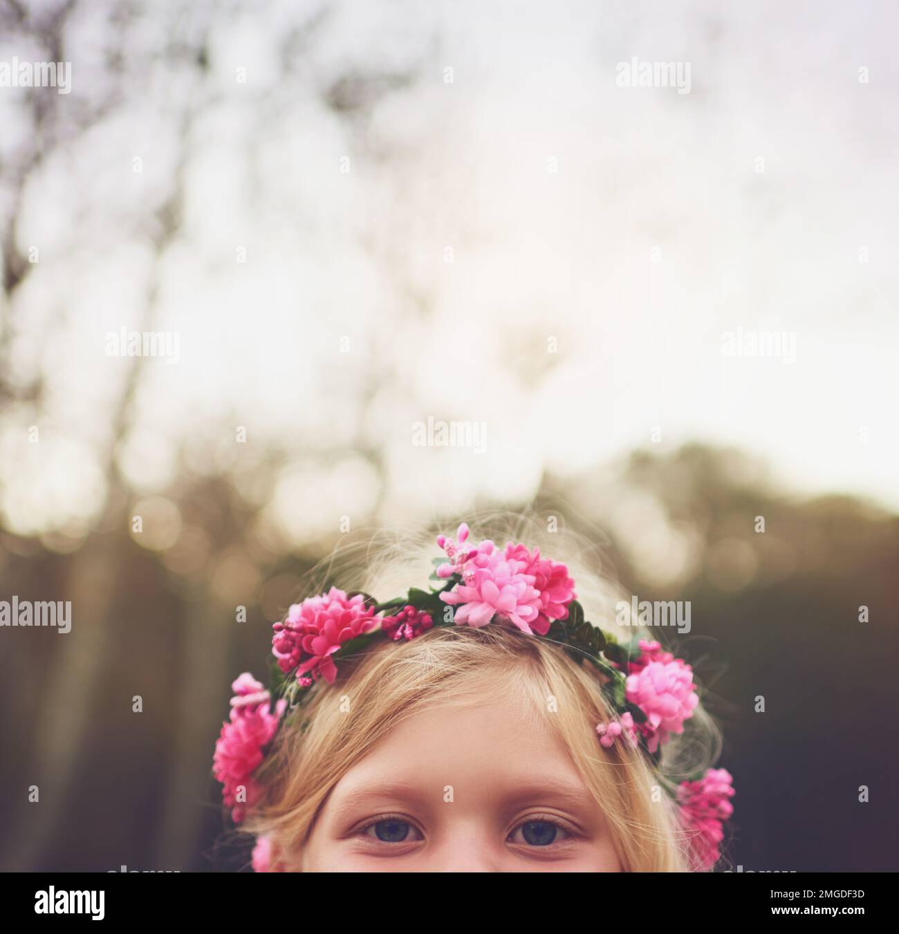 Ive got the prettiest crown ever. a little girls eyes looking at the ...