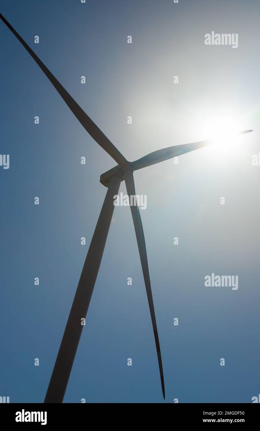 wind mill or also wind-turbine on wind farm in rotation to generate ...